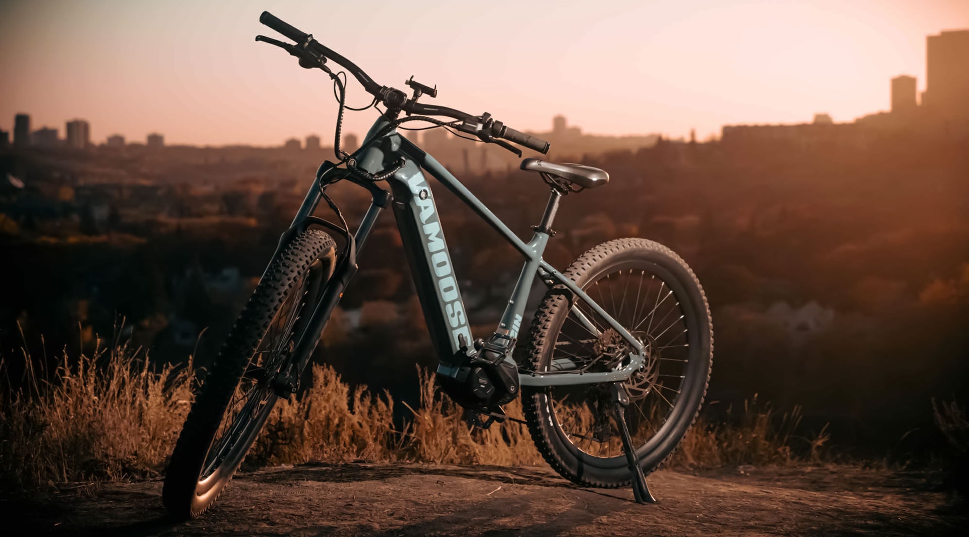 Toro - XC Hardtail Mid - Prussian and Ocean Blue – Vamoose Electric ...